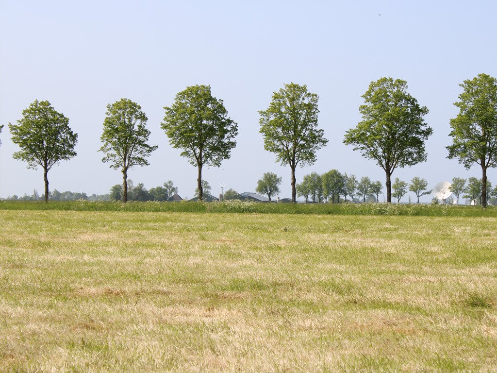 Minicamping de Grutte Earen - Kamperen in Burum - Friesland