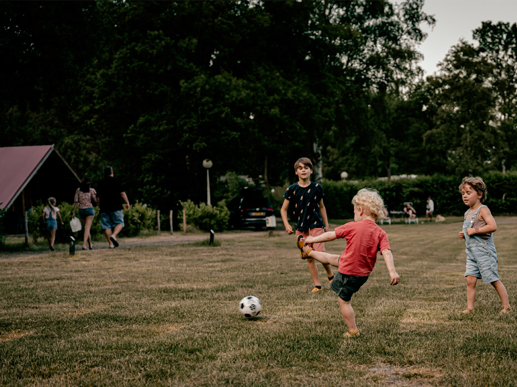 Vakantiepark Westerbergen - kamperen in Echten - Drenthe